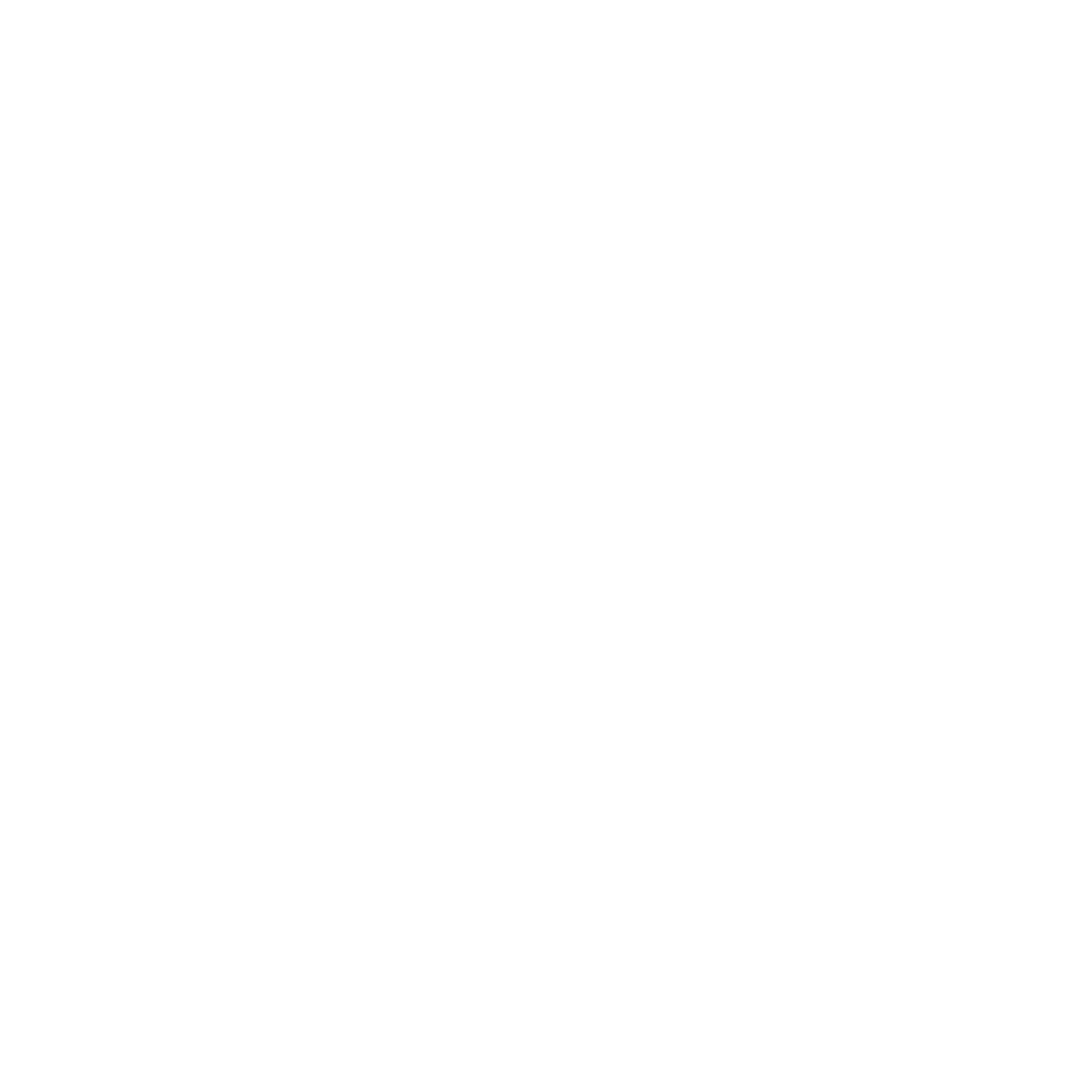 About - Radcam Technologies